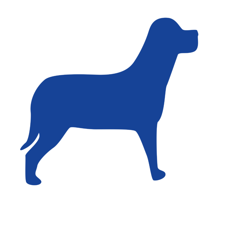 Mission Statement and Core Values – Connecticut Humane Society