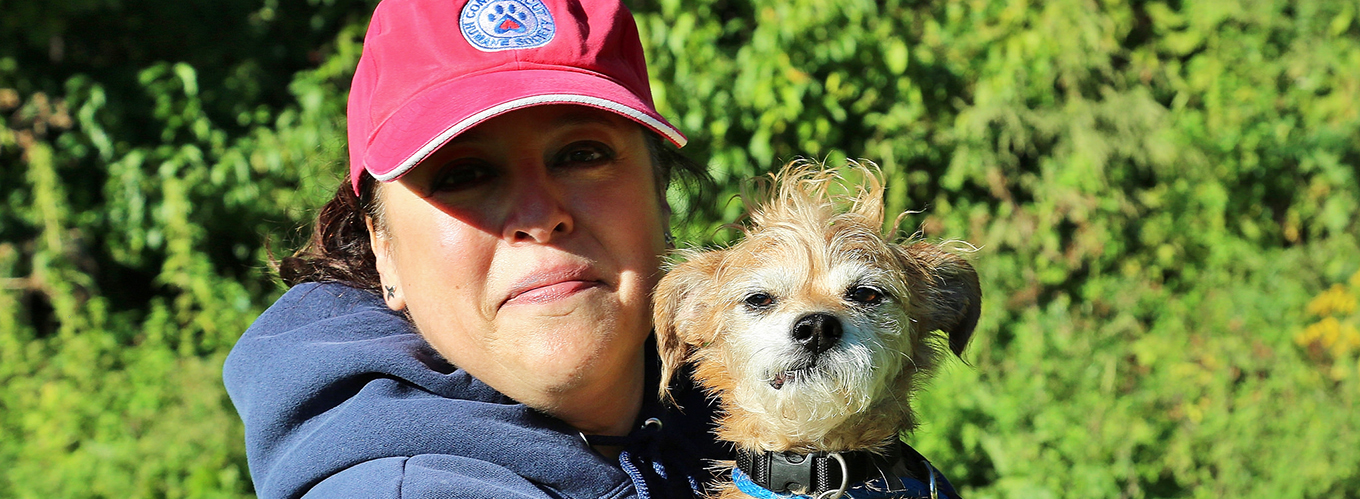 Volunteer – Connecticut Humane Society