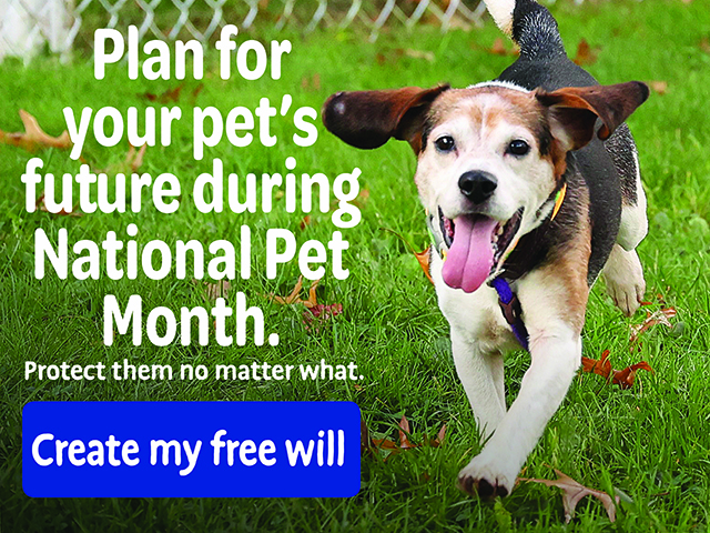 Adult Programs – Connecticut Humane Society