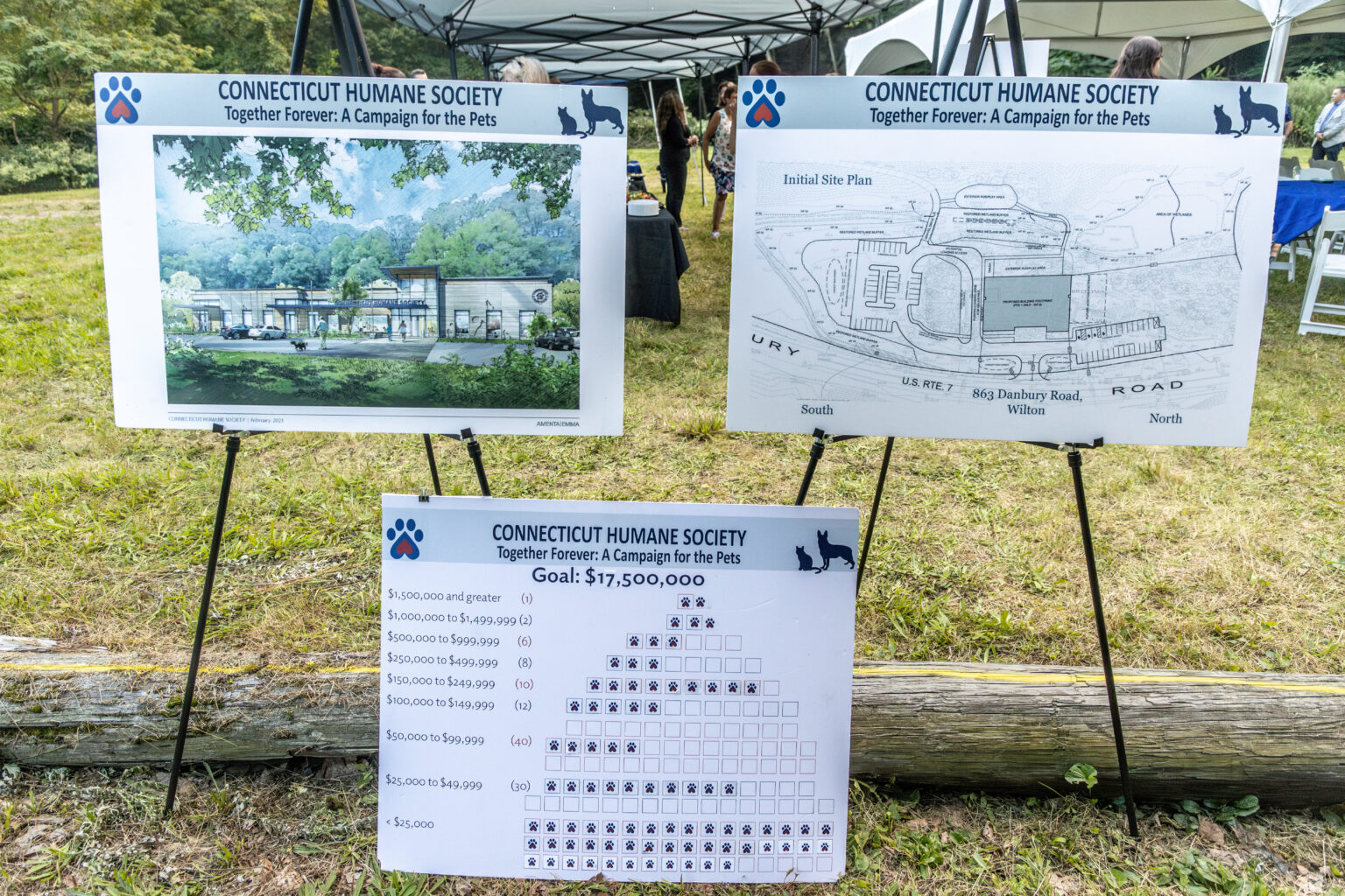 Closing the Gap: 5 Ways You Can Make an Impact – Connecticut Humane Society