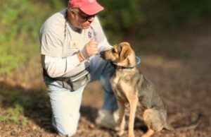 Home – Connecticut Humane Society