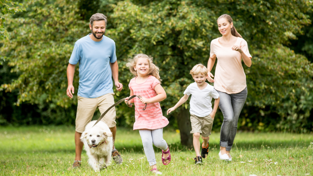 A Lifeline for CT Families: Keeping Pets & Their Loved Ones Together ...