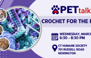 Home – Connecticut Humane Society