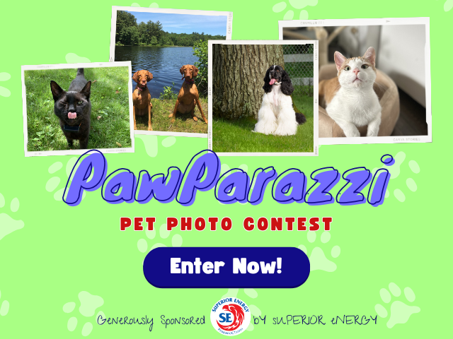 Home – Connecticut Humane Society